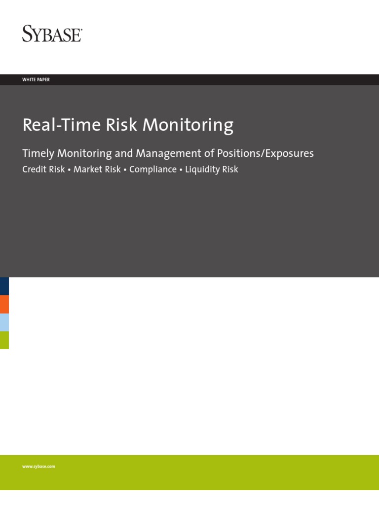 Real-Time Risk Monitoring: Timely Monitoring and Management of ...