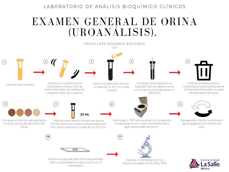 Diagrama De Flujo Uroanálisis Pdf Medicina Clinica Sistema