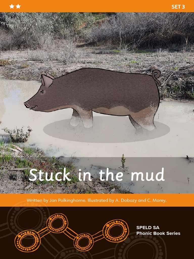 SPELD SA Set 3 Stuck in The mud-DS | PDF | Phonics | Written Communication