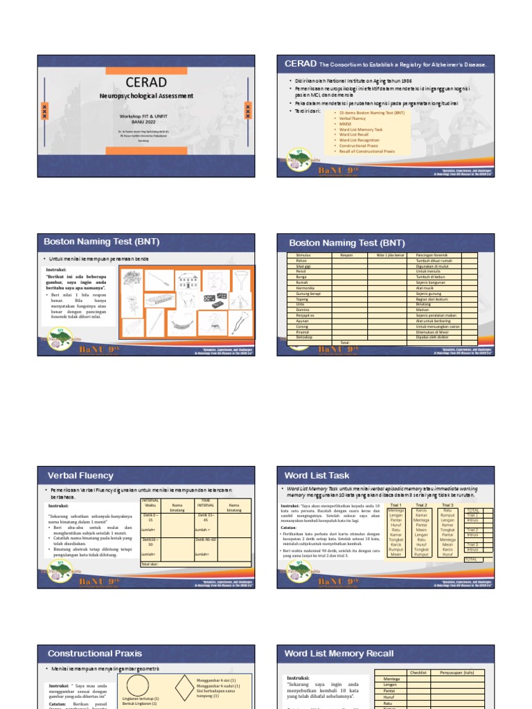 Cerad | PDF