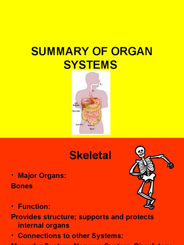 Organ Systems Power Point | PDF | Human Body | Gastrointestinal Tract