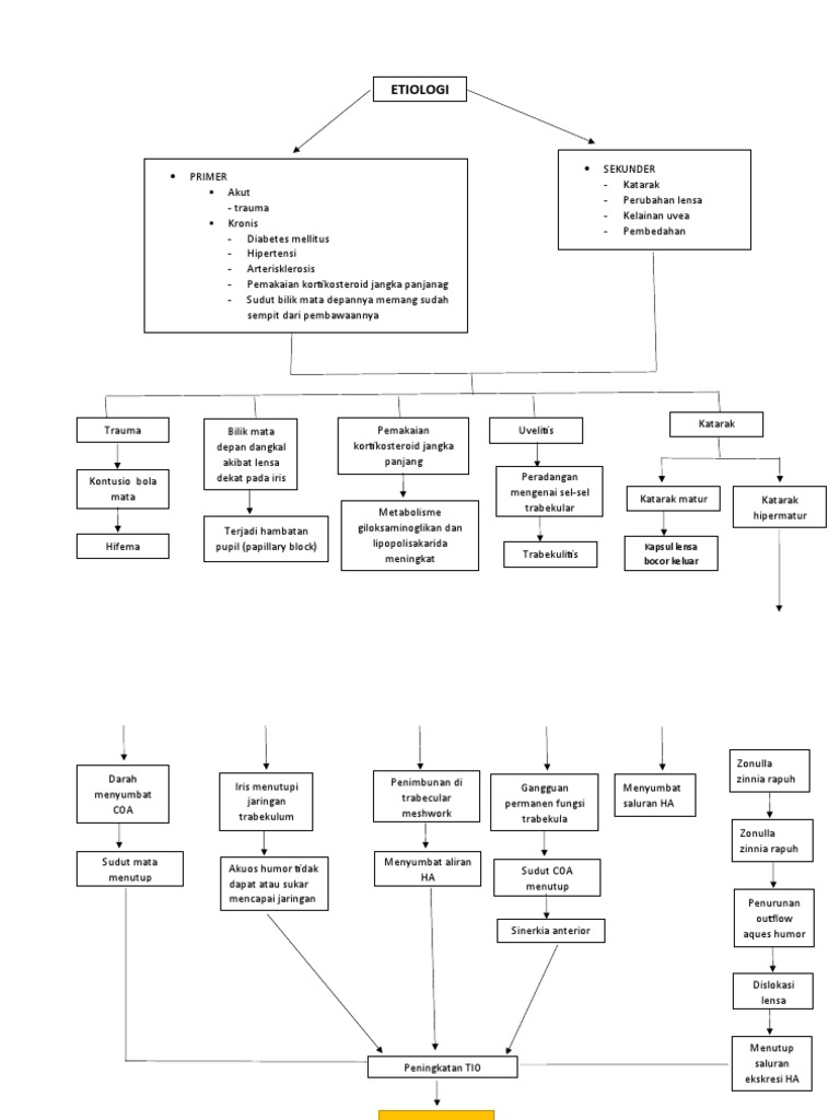 Pathway Glaukoma | PDF
