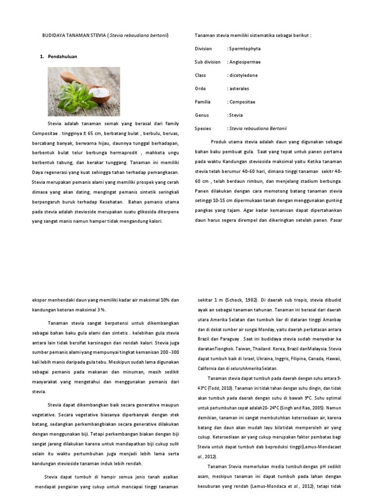 Panduan Budidaya Stevia | PDF