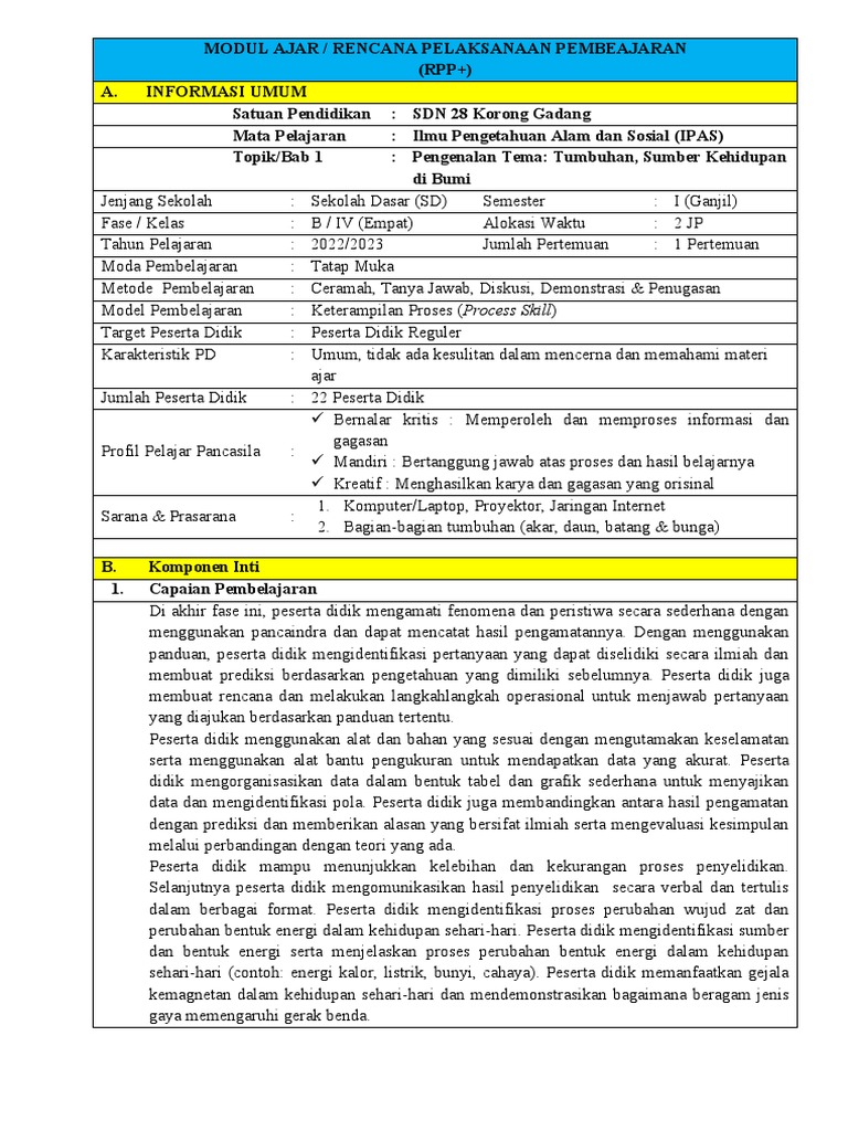 RPP Ipas KLS Iv SMS 1 | PDF