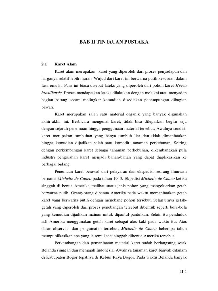 Bab Ii Tinjauan Pustaka | PDF