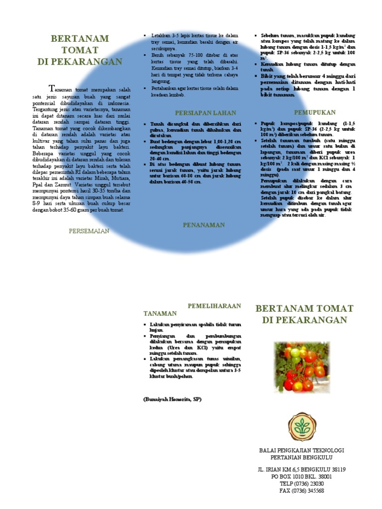 Leaflet Tomat | PDF