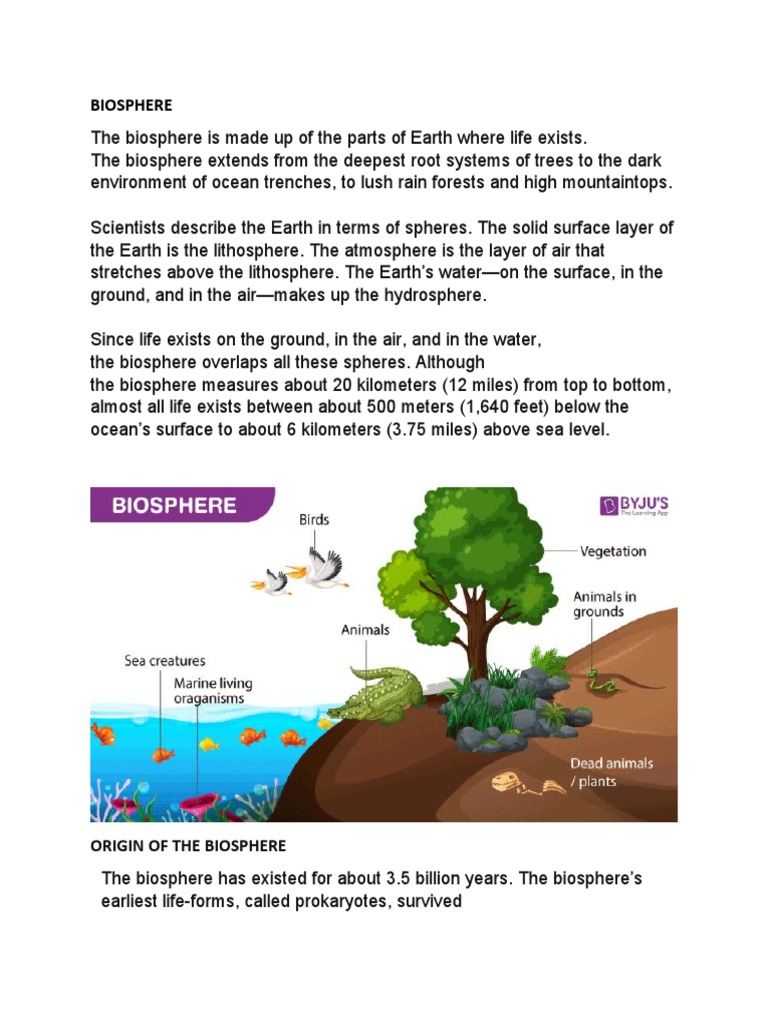 The Biosphere of The Earth System | PDF | Earth | Natural Environment