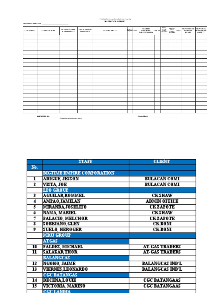 Inspection Report Template Summary | PDF