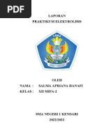 Laporan Praktikum Kimia Sel Elektrolisis | PDF