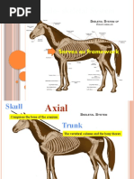 Canine Vertebral Anatomy Overview | PDF | Vertebra | Vertebral Column