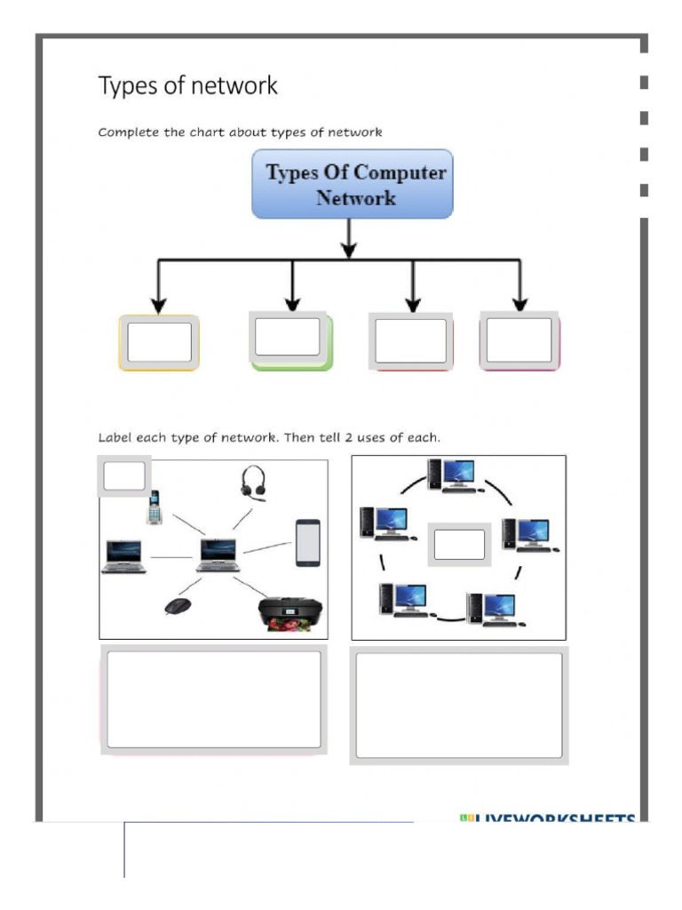 Type of Network Worksheet | PDF