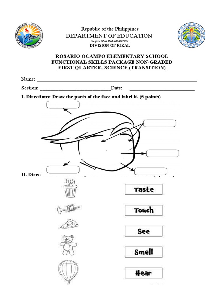 Exam-Science (1st Quarter) | PDF | Career & Growth