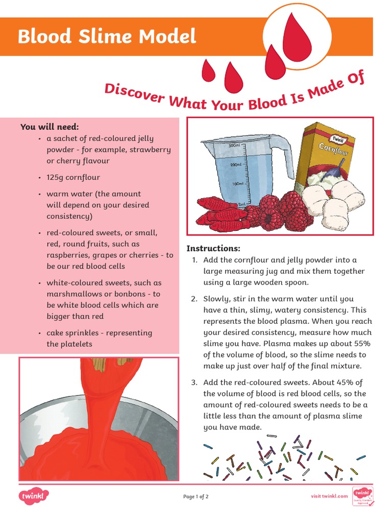 Blood Slime Model | PDF | Blood | Fruit Preserves