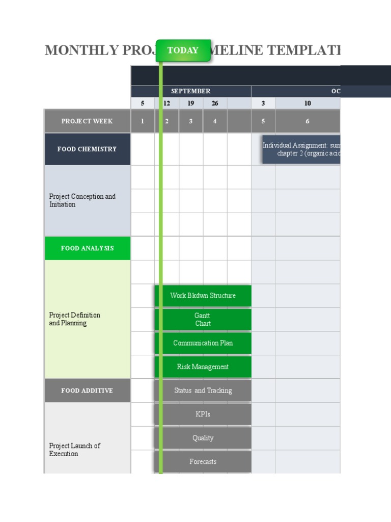 IC Monthly Project Timeline Template For Excel 11412 | PDF