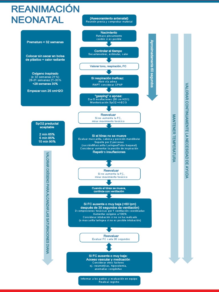 Guía paso a paso para la reanimación neonatal | PDF | Reanimación cardiopulmonar | Medicina CLINICA