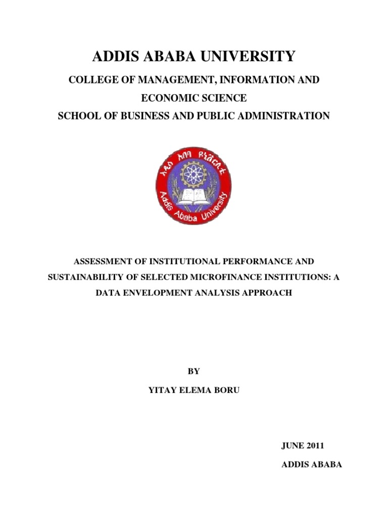 Yitay Elema | PDF | Microfinance | Loans