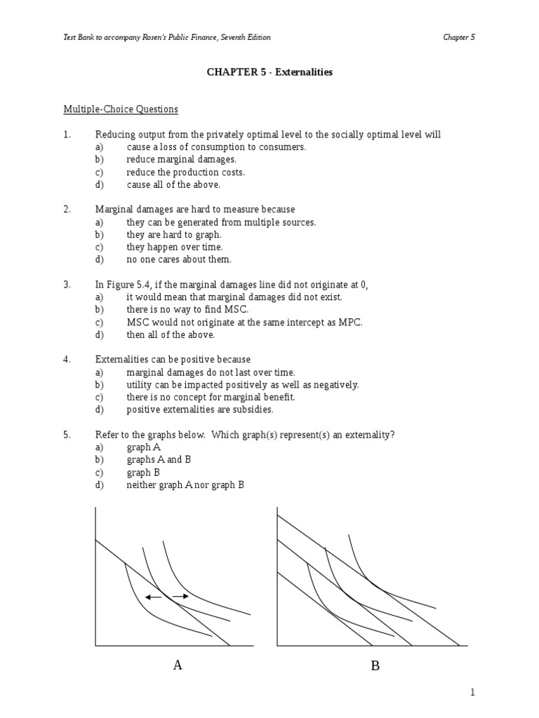 CHAPTER 5 Externalities | PDF | Externality | Marginal Cost