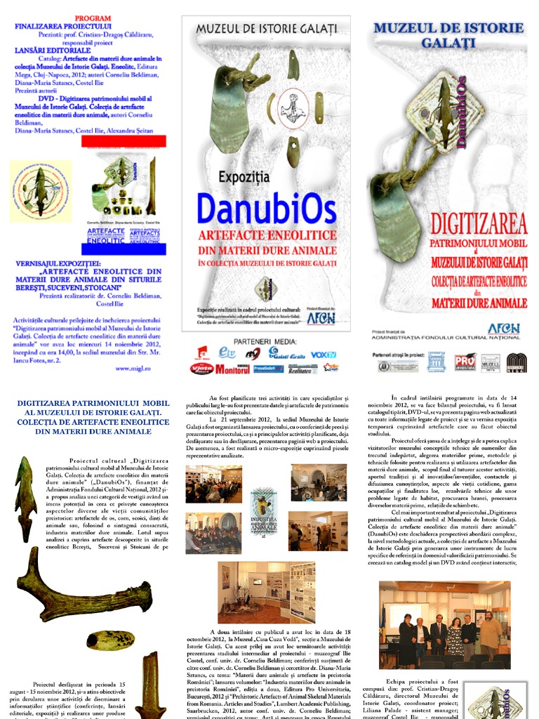 Pliant Istoric | PDF