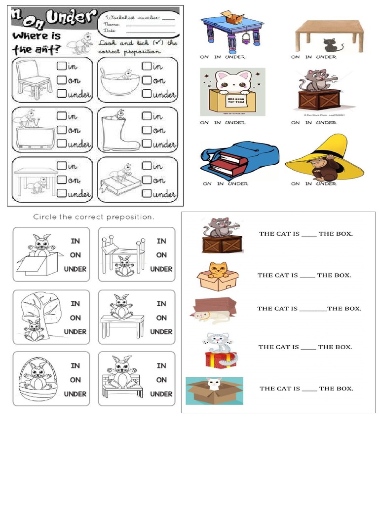 (In, On, Under) Worksheet | PDF