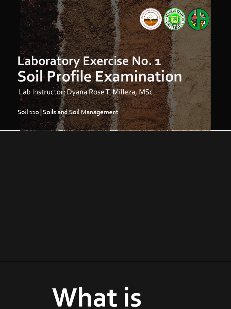 Exercise No. 1 Soil Profile Examination | PDF | Soil | Sedimentology