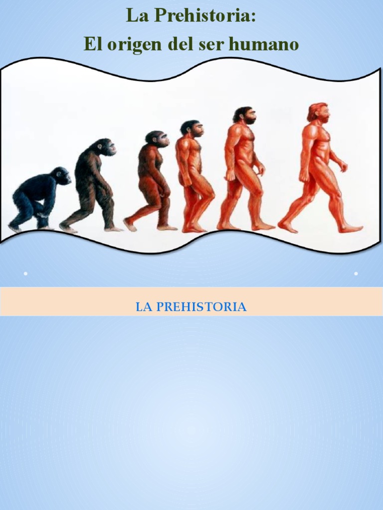 Evolución y Origen Humano | PDF | Evolución humana | Hominidae