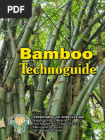 Handbook Bamboo Species | PDF | Bamboo | Plants