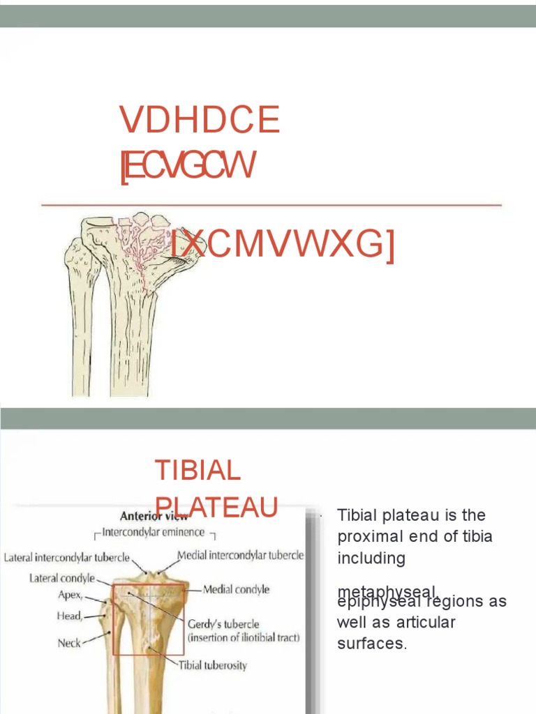 Tibial Plateau Fractures Overview | PDF | Musculoskeletal System ...