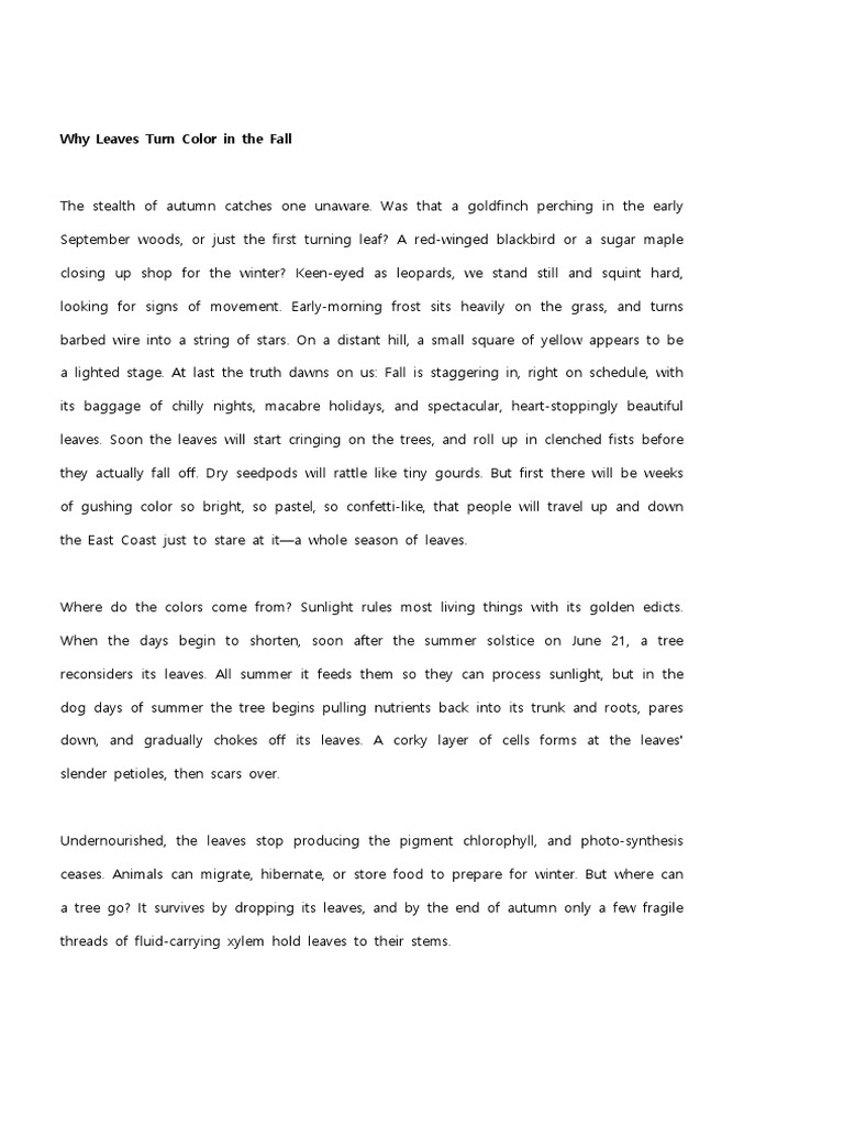 Why Leaves Turn Color in The Fall | PDF | Leaf | Trees