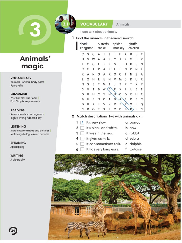 English Discovery 7 - 3 WB | PDF