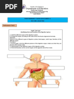 Science 6 Activity Sheet Filtering and Sieving | PDF | Filtration | Mixture