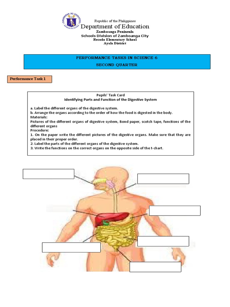 2ND Grading Performace Task | PDF | Cognition | Learning