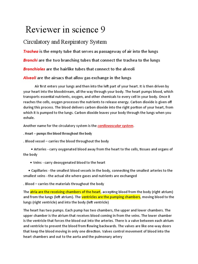 Grade 9 Science Reviewer: Circulatory & Respiration | PDF | Lung | Heart