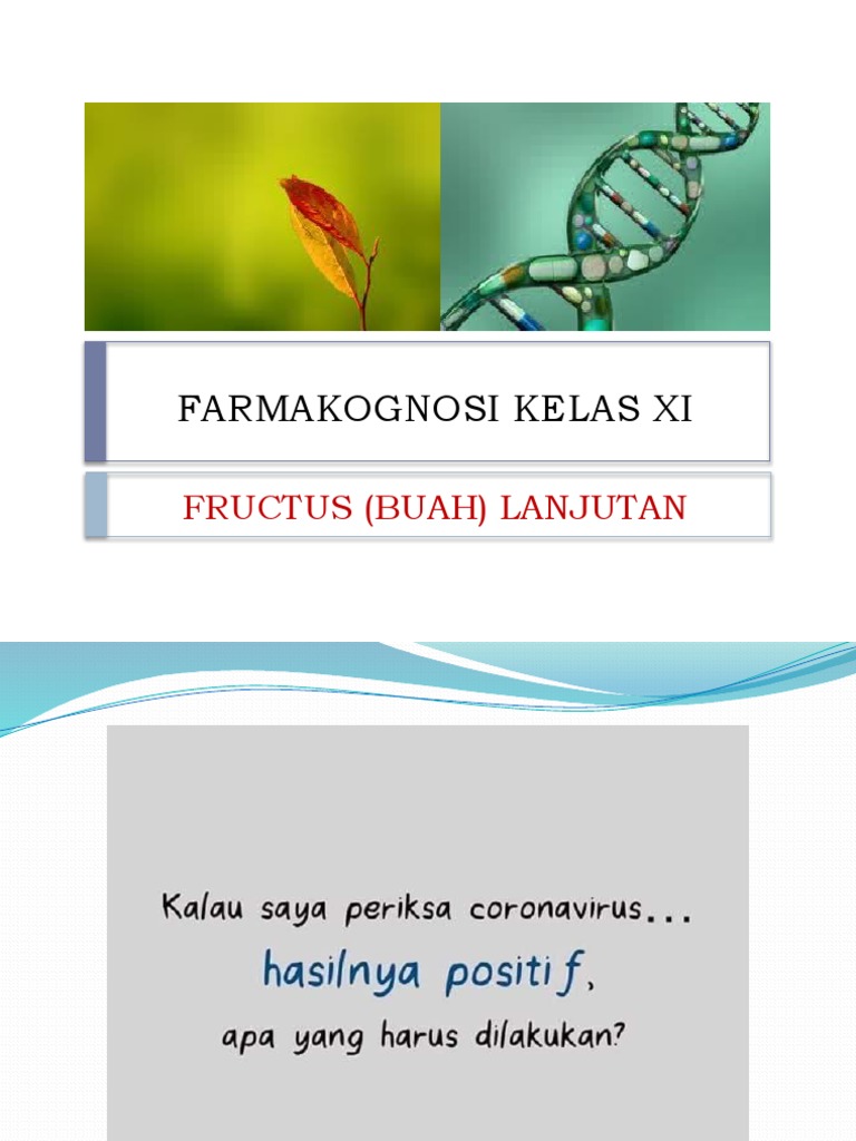 Fructus Lanjutan | PDF | Sains & Matematika