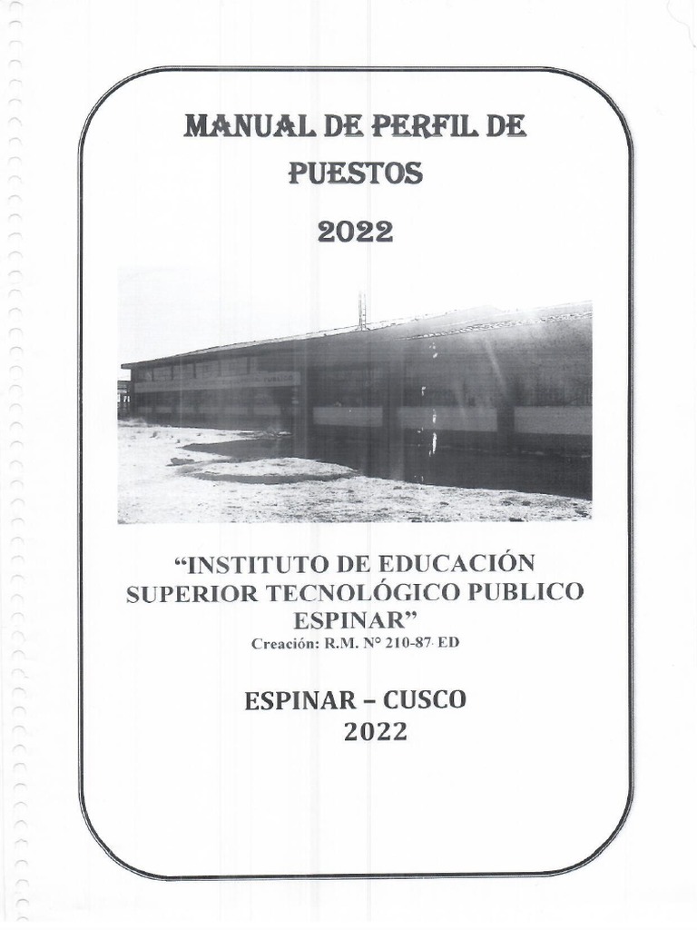 Manual de Perfil de Puestos IESTP E | PDF