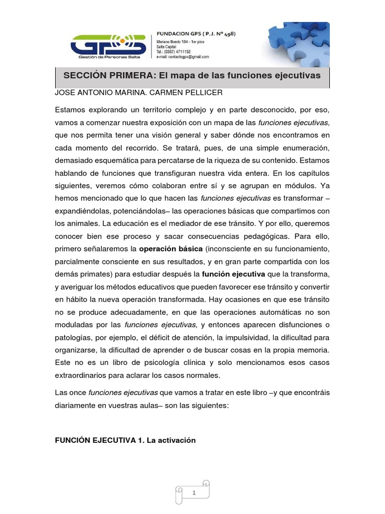 El Mapa de Las Funciones Ejecutivas | PDF