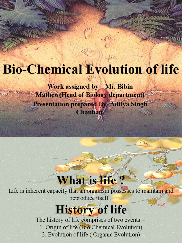 Bio-Chemical Evolution of Life | PDF | Abiogenesis | Life