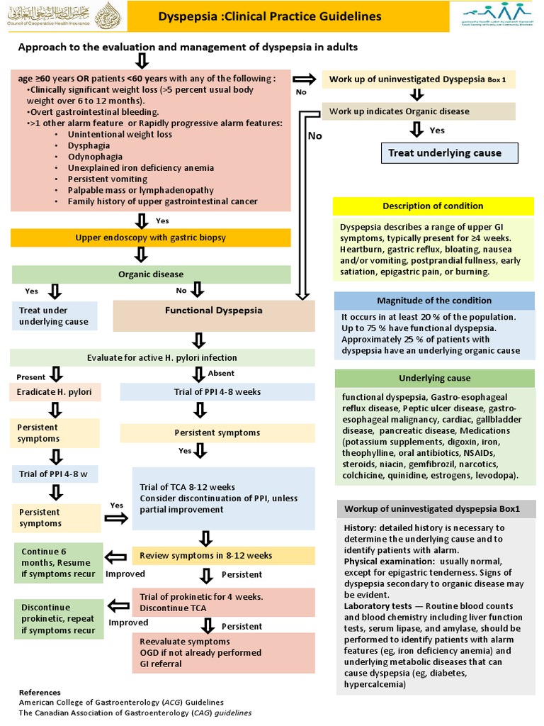 Algorithmus Dyspepsia | PDF | Indigestion | Epidemiology