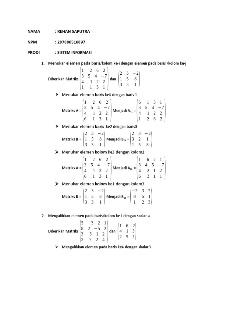 Operasi Matriks dalam Aljabar Linear | PDF