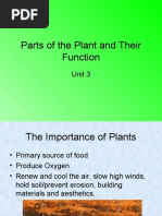 NJUG Publication Volume 1 | PDF | Root | Trees