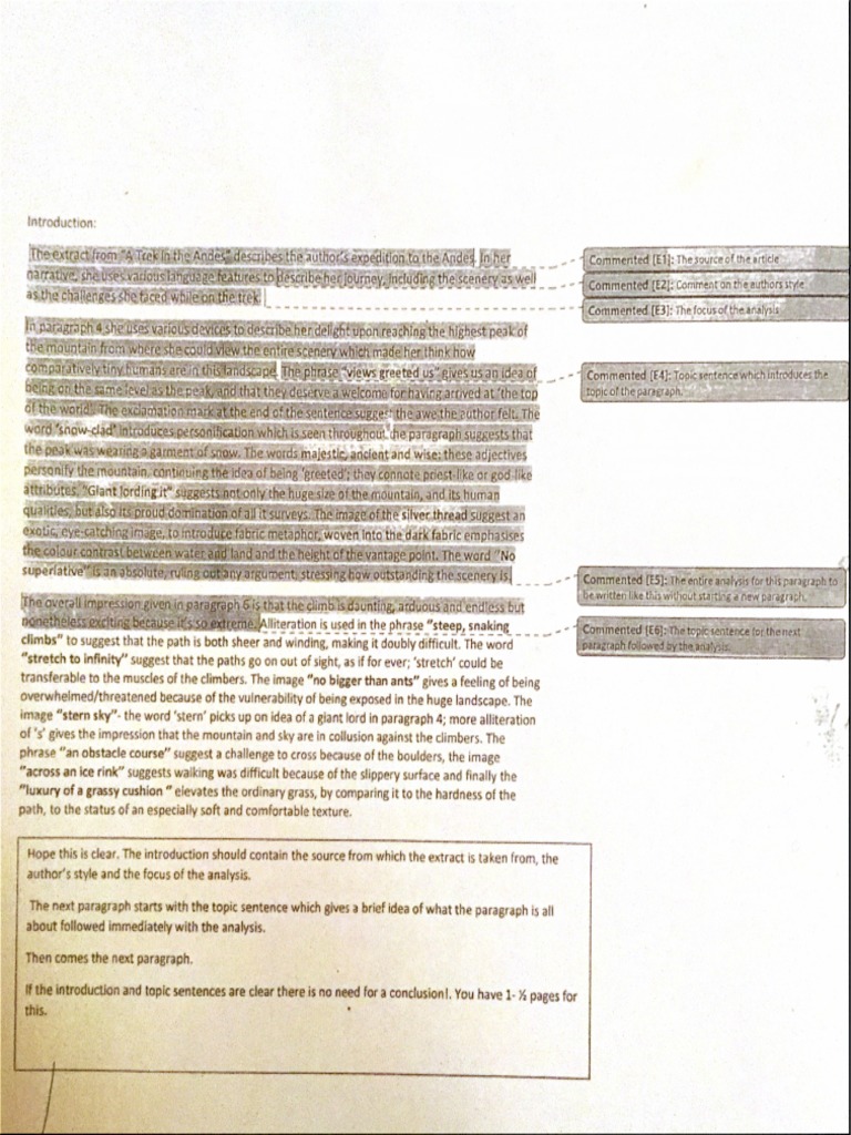 language-analysis-sample-1-pdf