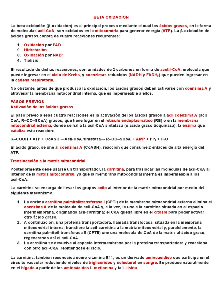 Proceso de Beta Oxidación de Ácidos Grasos | PDF | Biología Molecular ...