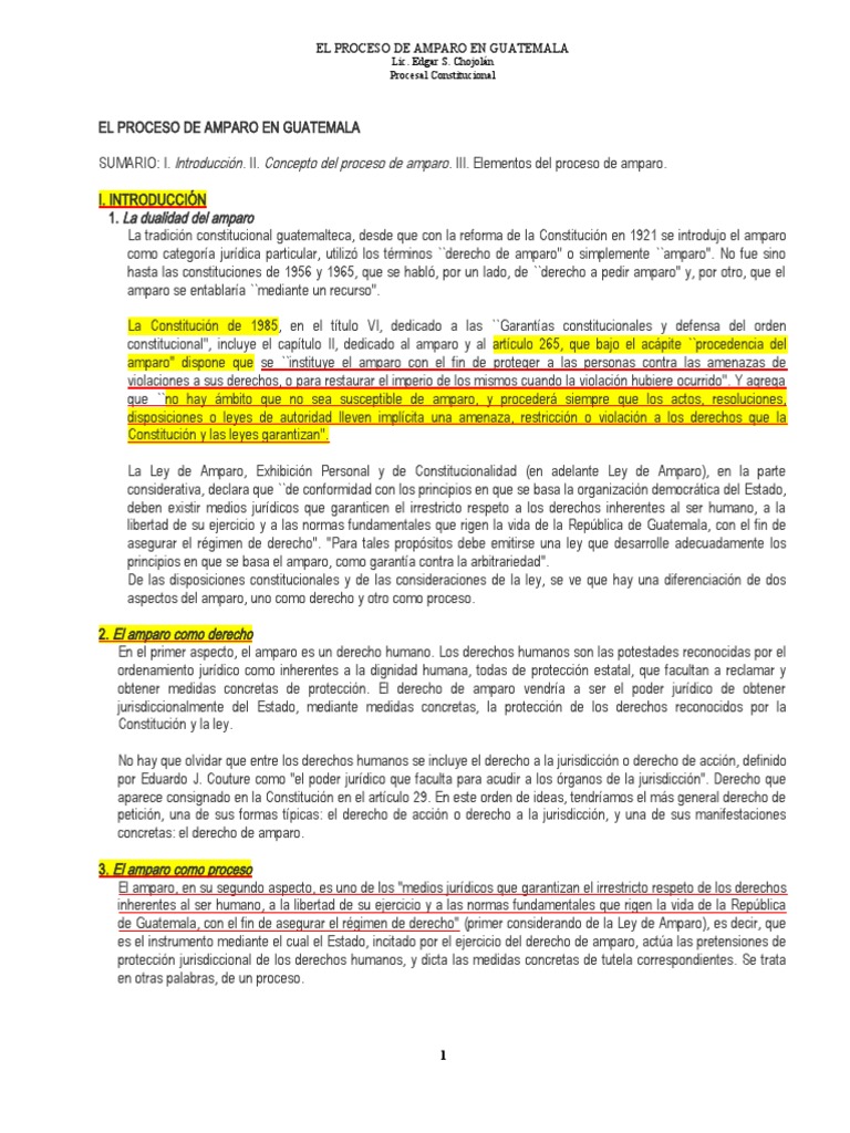 Proceso de Amparo en Guatemala: Guía Legal | PDF | Jurisdicción | Ley ...