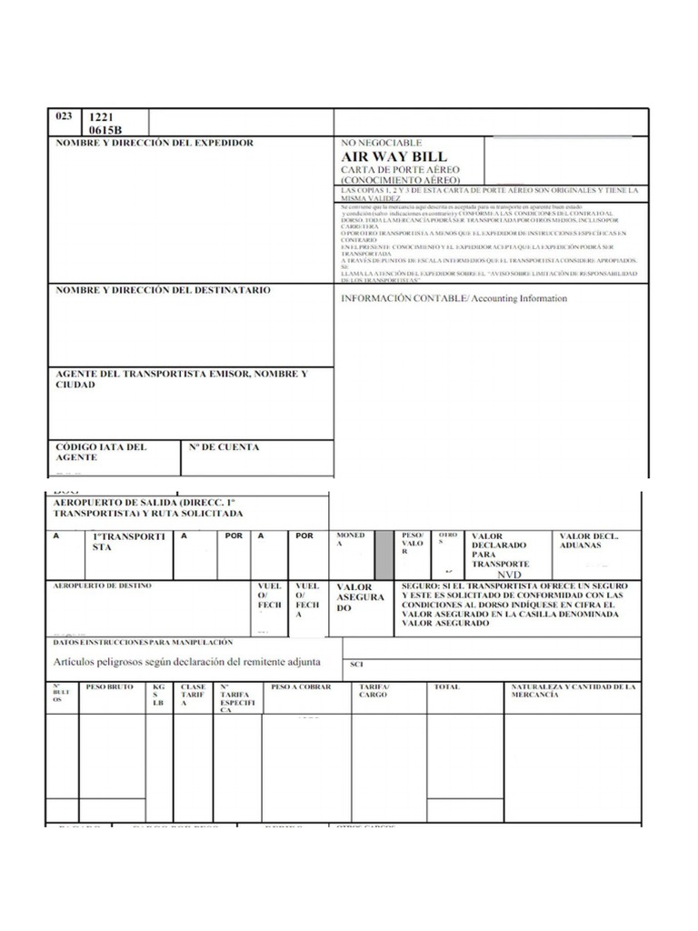 Modelo de Guia Aerea de Transporte | PDF