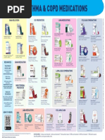 Respiratory Inhaler Identification Chart | PDF | Pharmaceutical ...