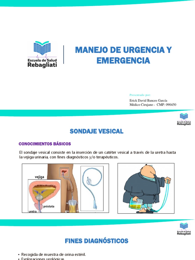 Manejo del Sondaje Vesical en Hombres | PDF | Vejiga urinaria ...