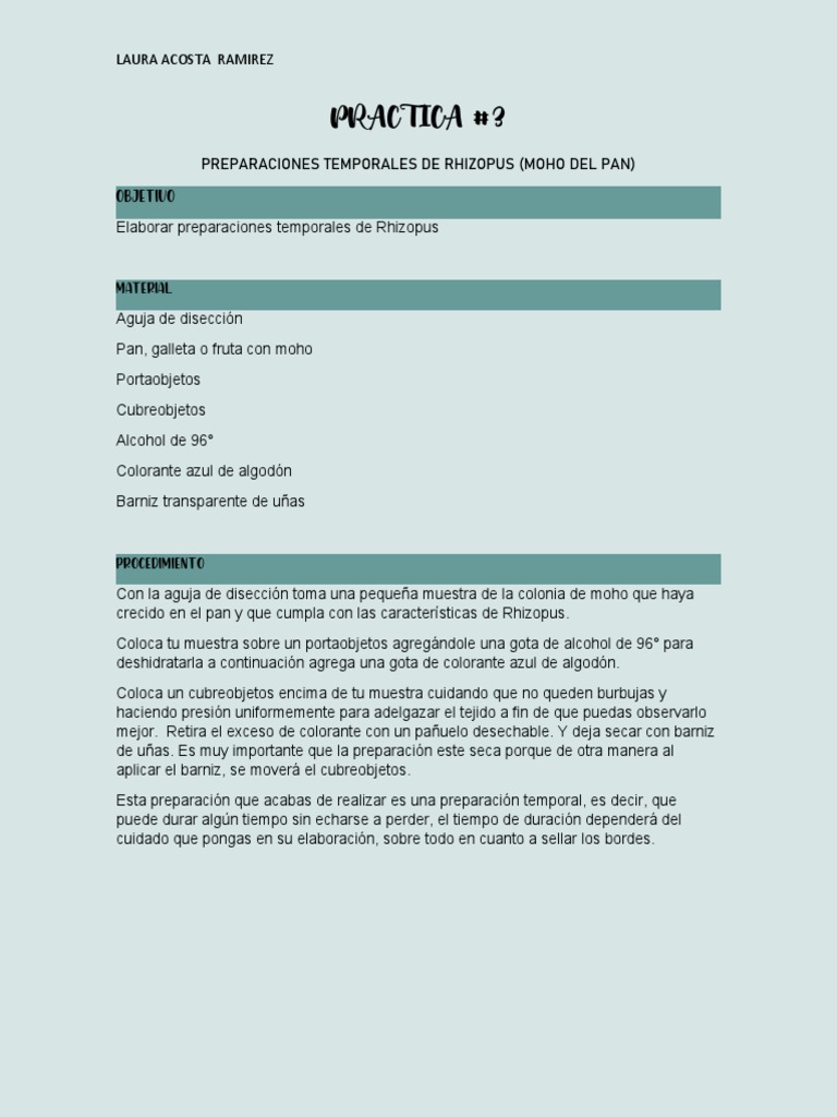 Practica 3 Moho | PDF | Panes