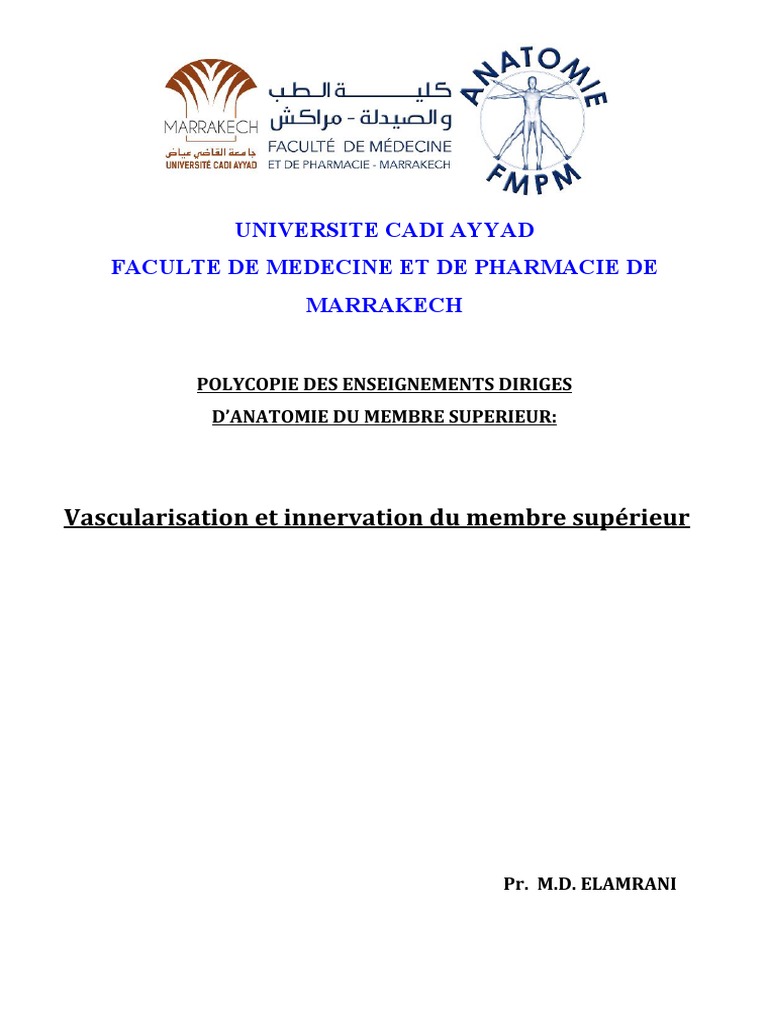 Vascularisation et innervation du bras | PDF | Bras | Main