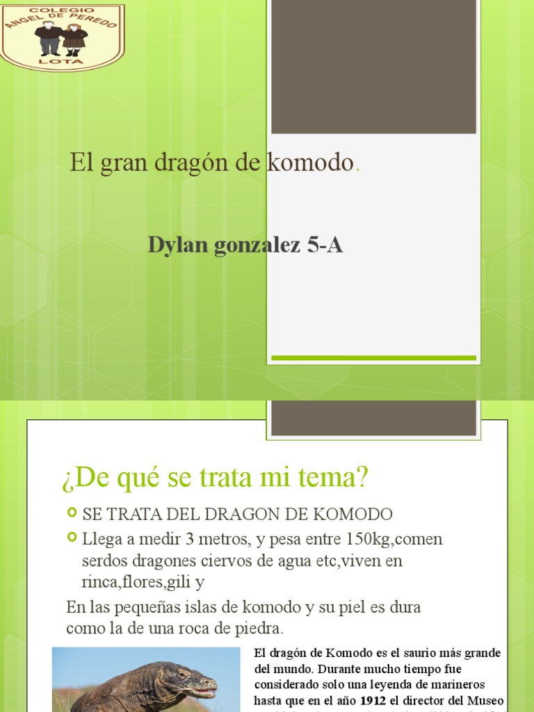 Dylan Gonzalez 5-A | PDF