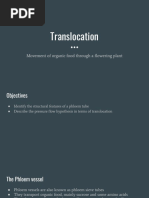 English Sba Oral Presentation | PDF | Language Arts & Discipline