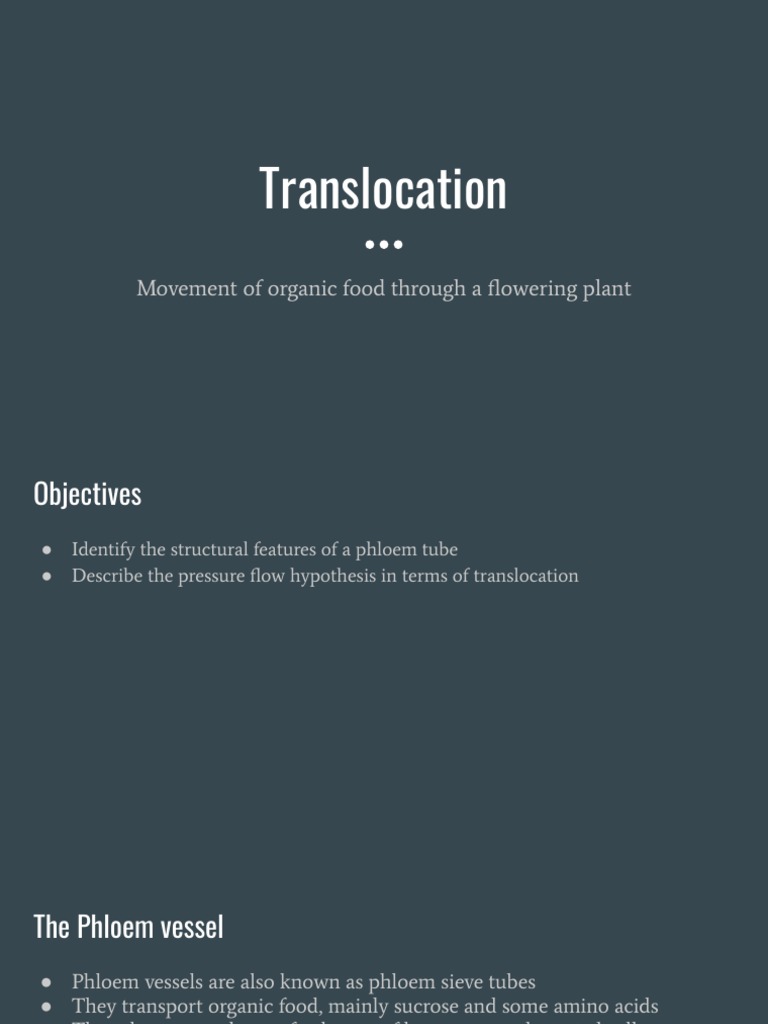 Understanding Plant Translocation Process | PDF | Science & Mathematics